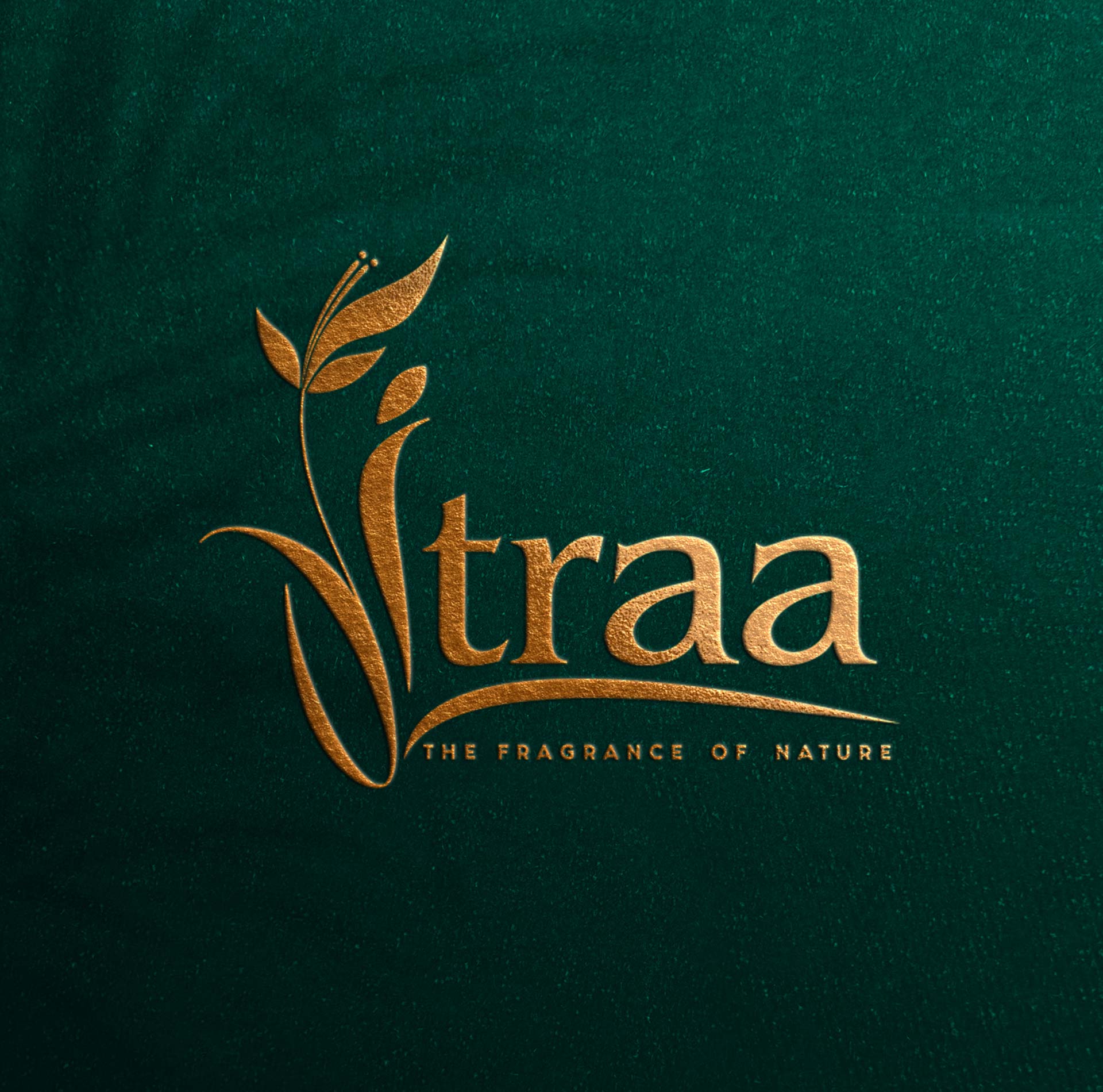 Logo Designing Company in India | Pitamaas Creative Agency